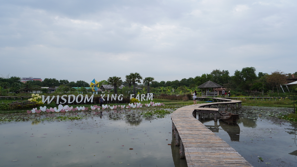 Wisdom Farm | พักแปป